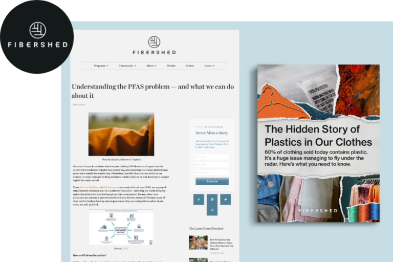 Our Work | Bark Media