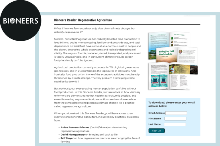 Our Work | Bark Media