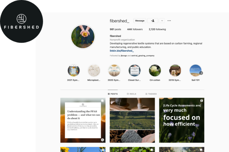 Our Work | Bark Media