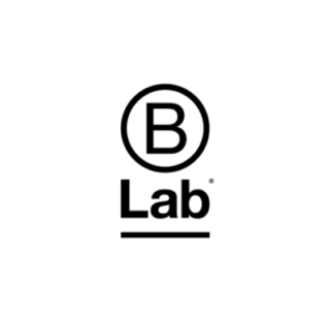 Our Work | Bark Media